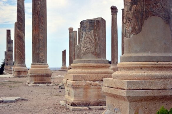 Digital Evolution: How Yuplón is Redefining Couponing in Costa Rica ...