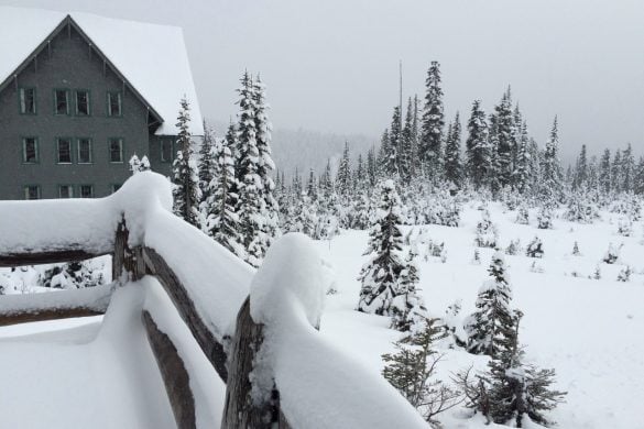 No More Waiting: Costa Rica Rockets Into U.S. Global Entry Club – The ...