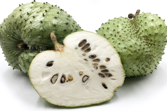 Cretex Medical Breaks Ground in Costa Rica: A New Era in Medical Device ...